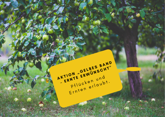 Streuobst Patenschaft / Aktion "Gelbes Band": Stadt Herborn